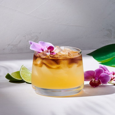 Welcome To Coconut Point® - A Shopping Center In Estero, FL - A Simon ...