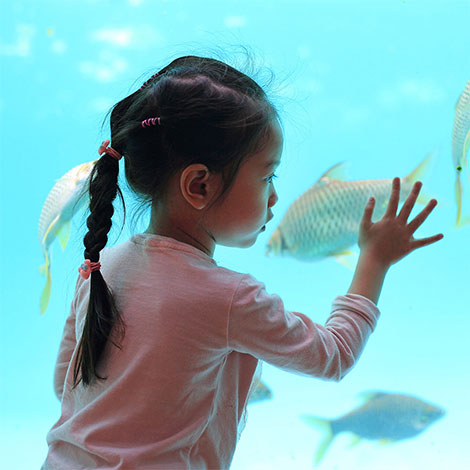 Welcome To Coral Square - A Shopping Center In Coral Springs, FL - A ...