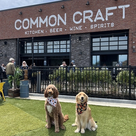 Welcome To Burlington Mall® - A Shopping Center In Burlington, MA - A Simon Property