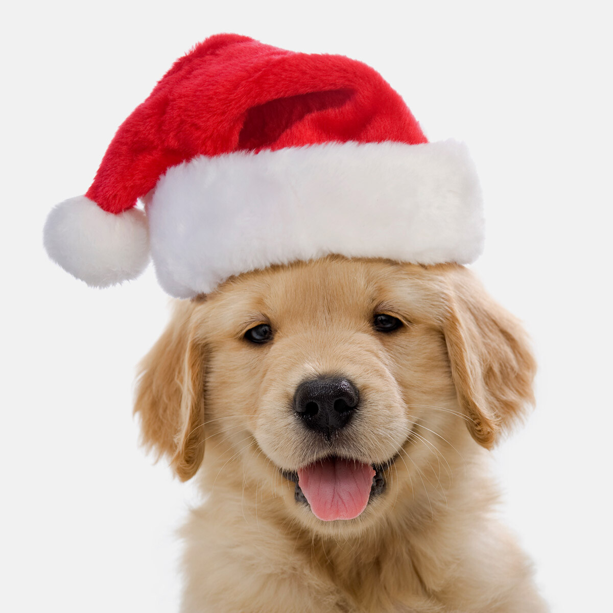 Welcome To Coconut Point® - A Shopping Center In Estero, FL - A Simon ...