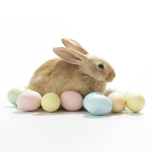 Easter Hours from Mall Management Office at Copley Place™ - A Shopping ...