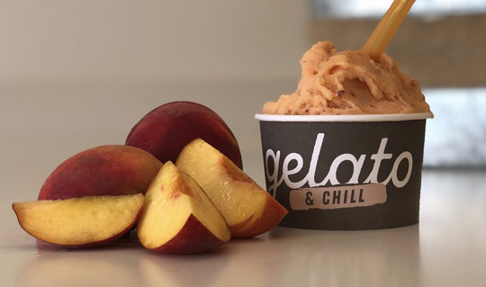 Dining & Restaurants at The Shops at Chestnut Hill - A Shopping Center ...